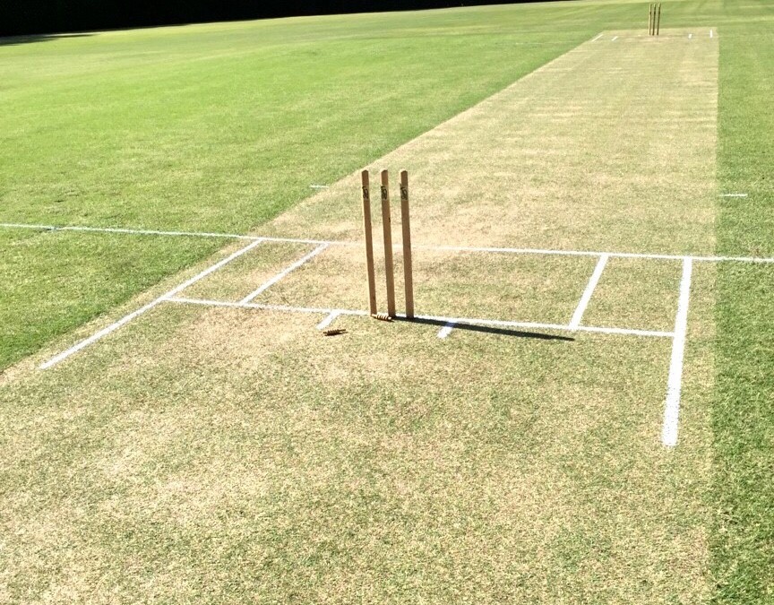 Turf Cricket Wicket Preparation and Maintenance - Solid Ground Landscaping